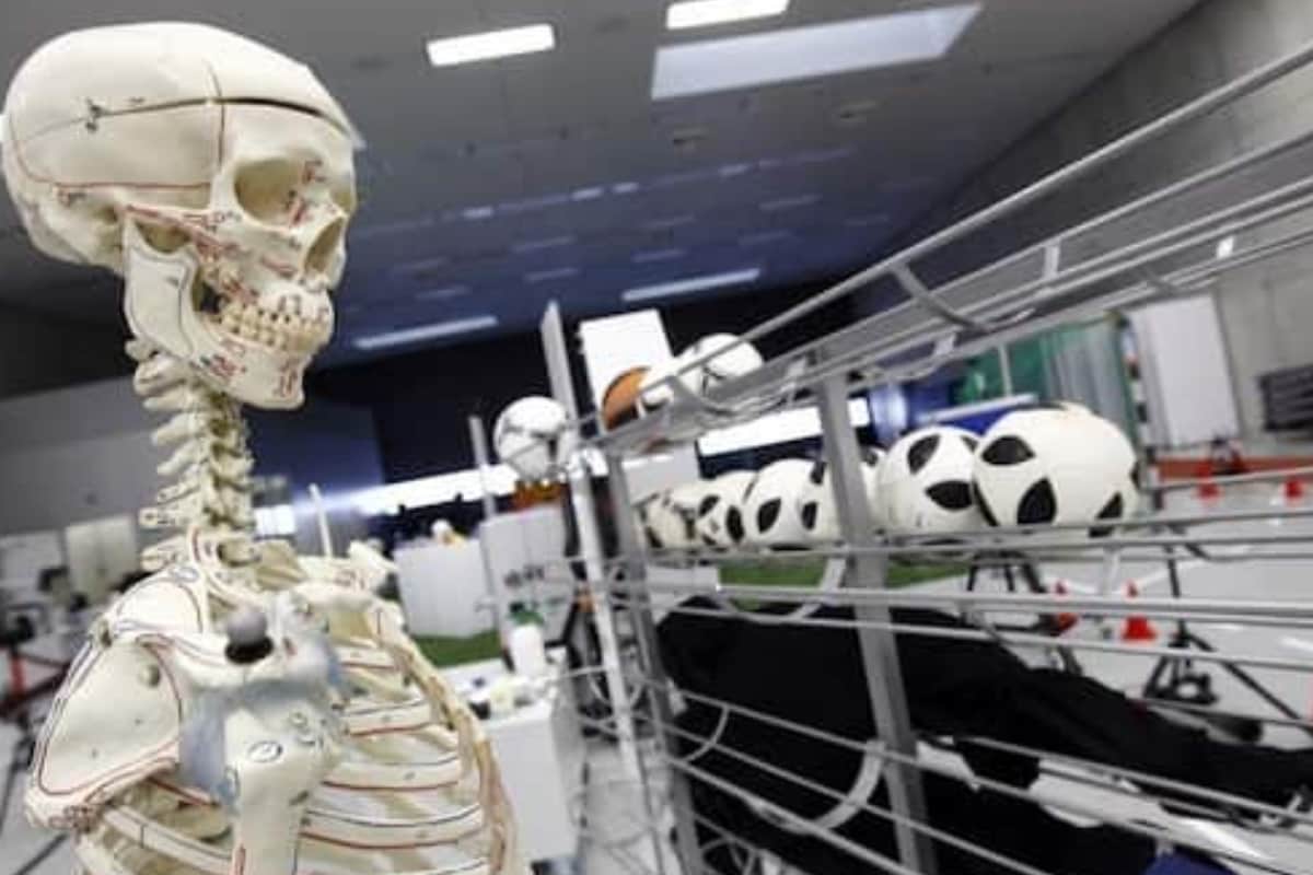 Fresh Research Suggests Ancient Humans were Particular About Bones They ...