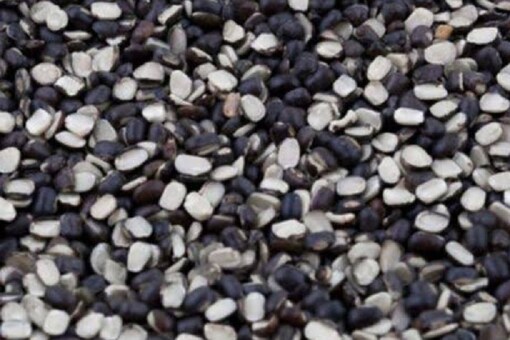 5 Incredible Health Benefits of Urad Dal - News18