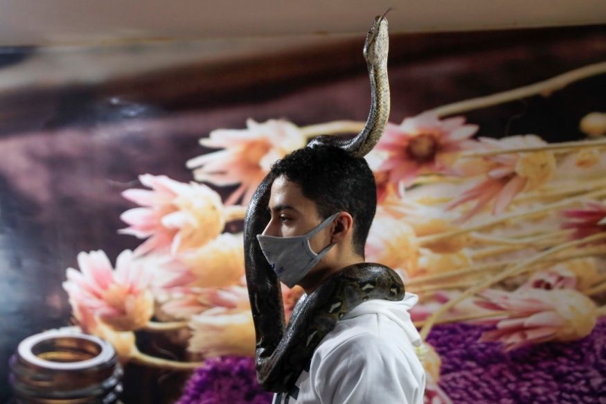 In Photos: This Spa in Egypt is Offering a Snake Massage