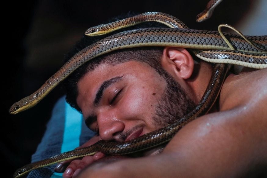 In Photos: This Spa in Egypt is Offering a Snake Massage - News18