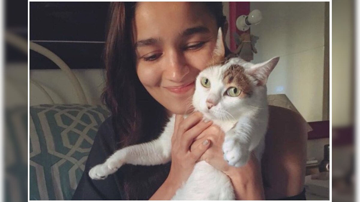 Alia Bhatt Mourns the Loss of Pet Cat Sheeba