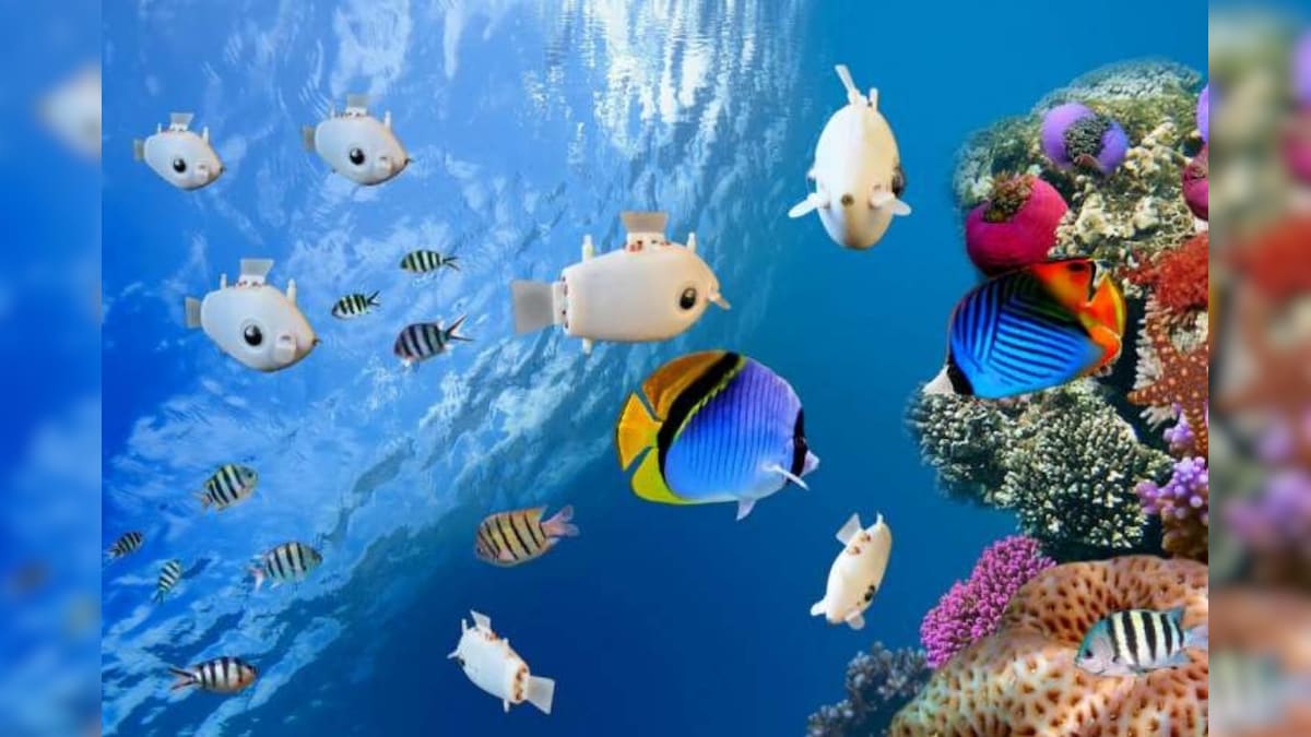 Scientists Made Mini Robot Fish, They Swam In Synchronization Like Real ...