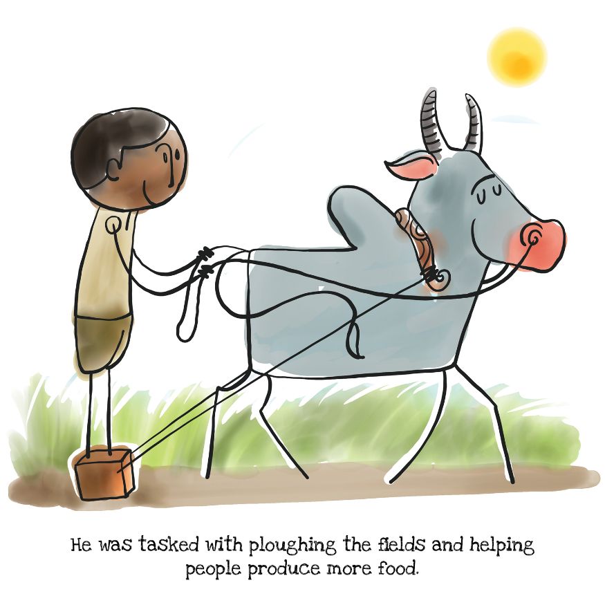 Explainer: The Legend of Maatu Pongal - News18