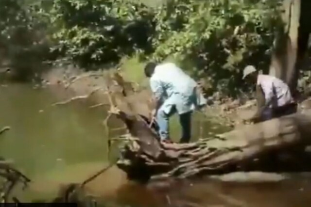 Watch: Terrifying Video Shows Snake Catcher Narrowly Escaping Cobra ...