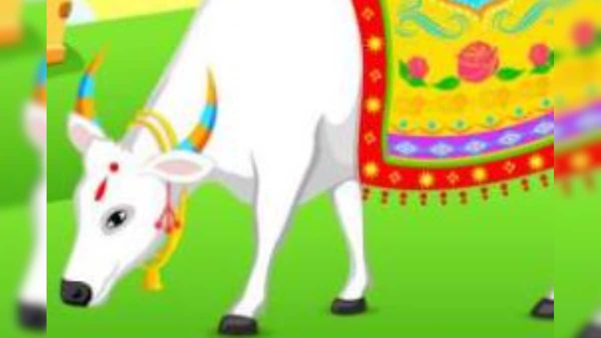 Kanuma Celebrations: Everything You Need to Know About the Holy Annual ...