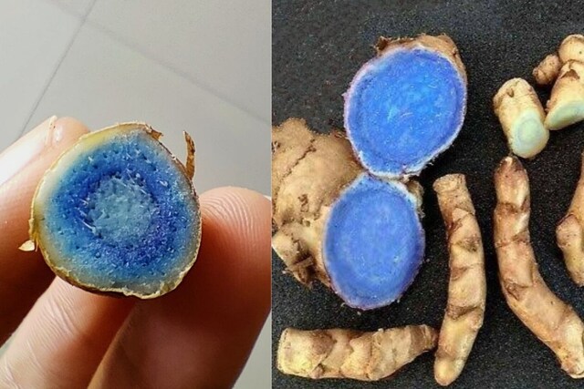 A Black Turmeric? IFS Officer Shares Benefits of This Rare, Costly ...