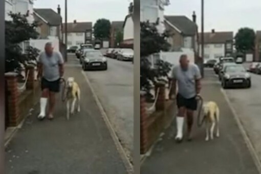 Owner Spends $300 to Treat His Dog's Limping, Later Finds out He was ...