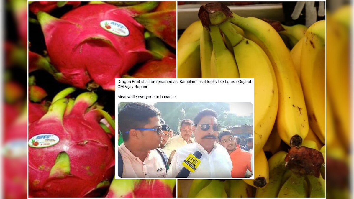 Gujarat Renames Dragonfruit 'Kamalam' Based on Shape, Twitter Wonders ...