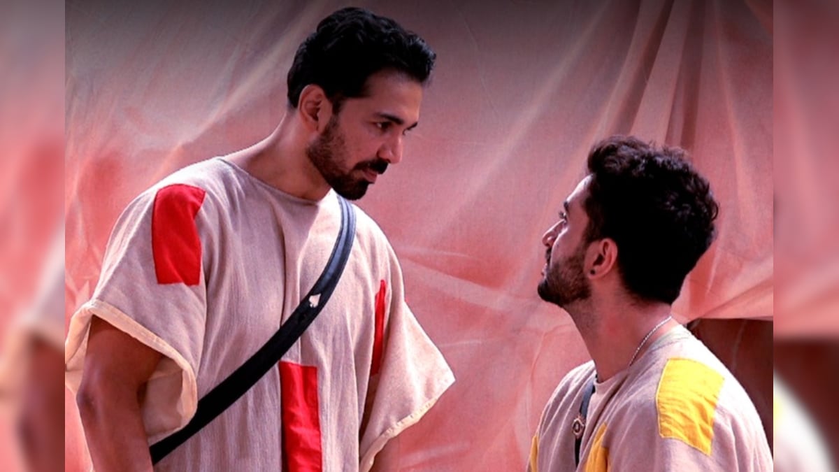 Bigg Boss 14 Day 107 Written Update: Aly Goni, Abhinav Shukla Engage in ...