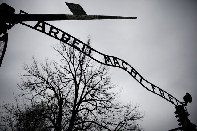 David Dushman, Last Surviving Soviet Liberator of Auschwitz, Dies Aged ...