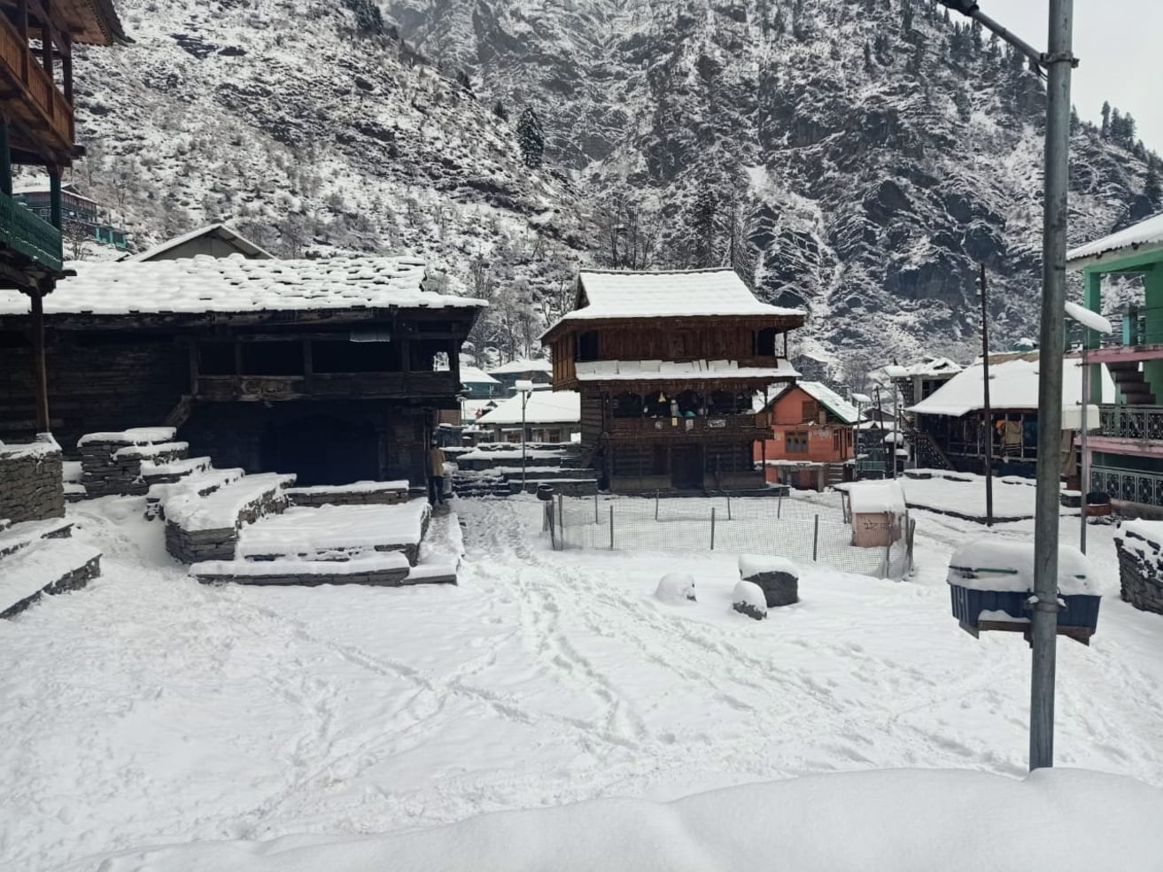Fresh Spell Of Snowfall Engulfs Shimla, Other Districts in Himachal ...