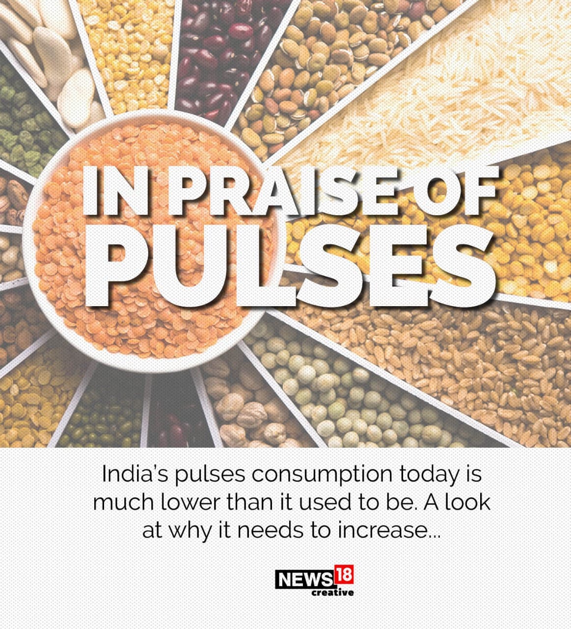 In Pics | Here's Why Pulses Are Important For a Healthy Sustainable ...