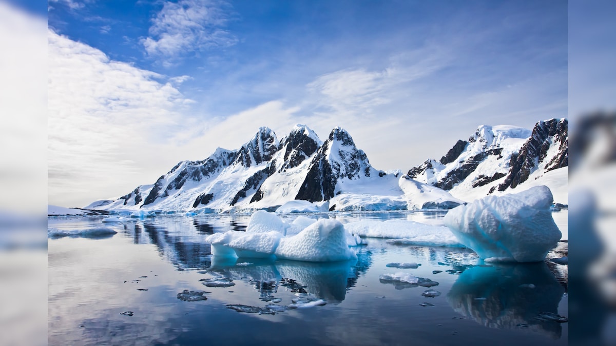 Scientists Find Lifeforms Existing Under 900 Metres of Ice Shelves in ...