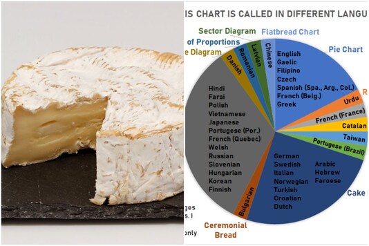 Did You Know That a Pie Chart is Called 'Camembert' in France and ...