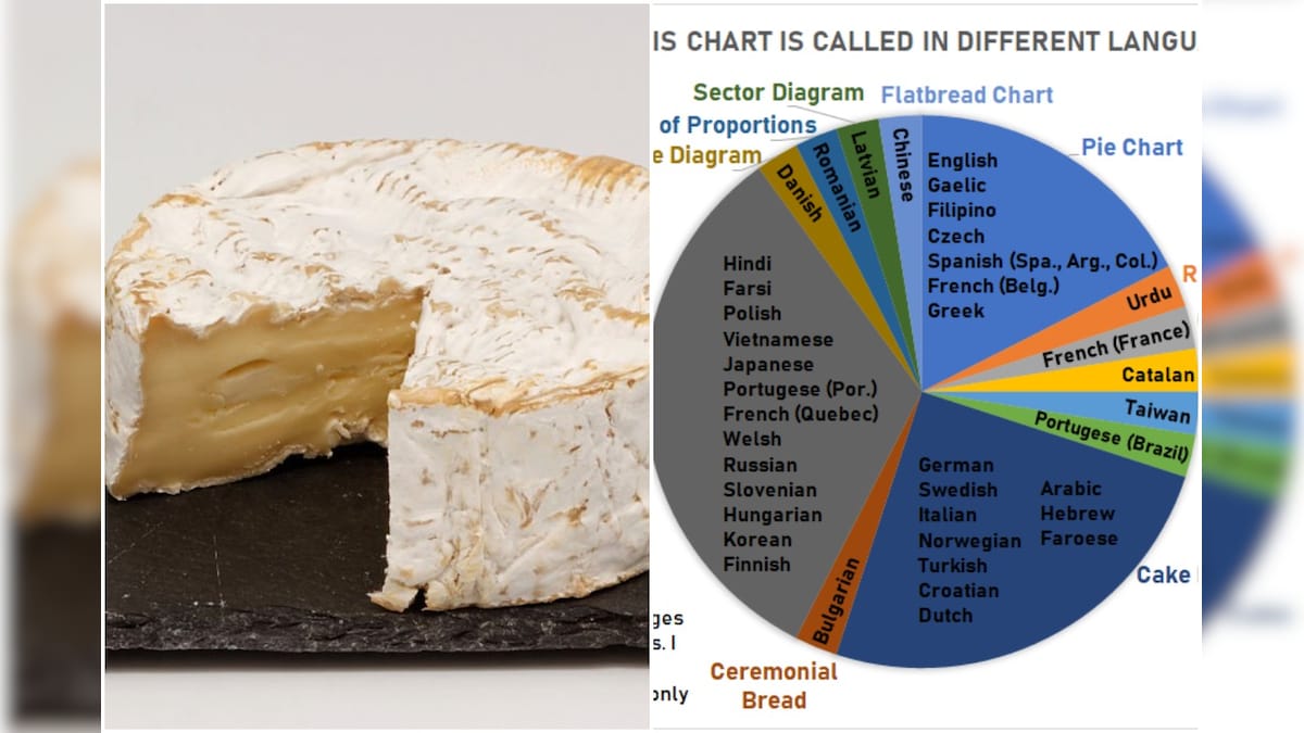 Did You Know That a Pie Chart is Called 'Camembert' in France and ...