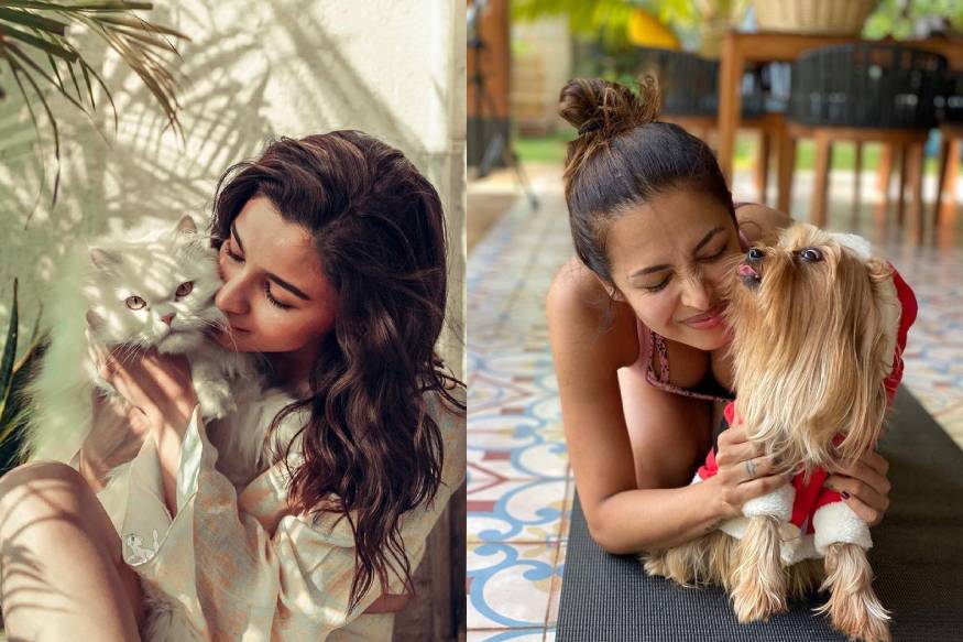 Alia With Her Cat To Malaika And Her Dog: Adorable Moments Of ...