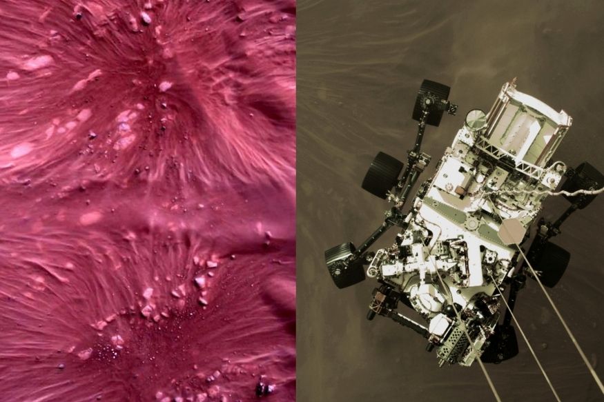 First 'Selfie' to Surreal Photos of Mars Surface, NASA Rover Beams Back ...