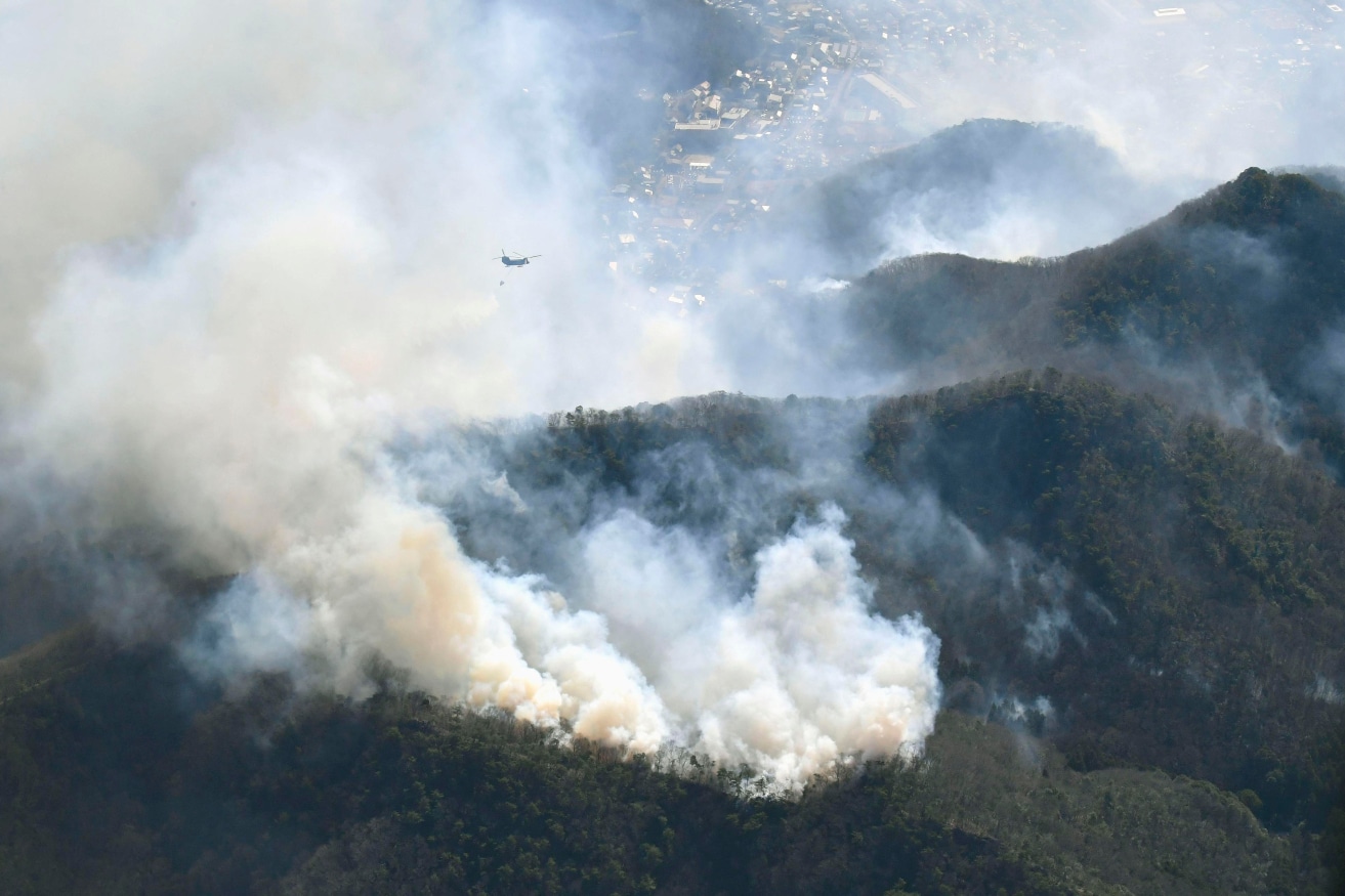 Helicopters, Firefighters Battle Two Forest Fires in Japan; See Pics ...