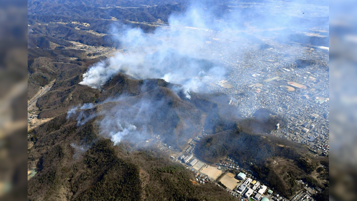 India Has Already Witnessed 3 Big Forest Fires in 2021, Odisha’s ...