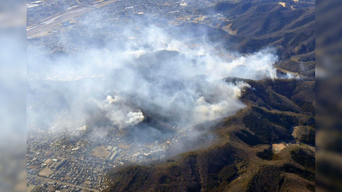Over 79 Hectares of Forest Land Gutted in Nainital Fire Despite Early ...