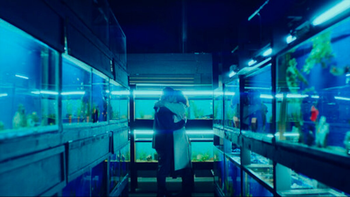 Review: 'Little Fish' Is A Pandemic-era, Sci-fi Love Story - News18