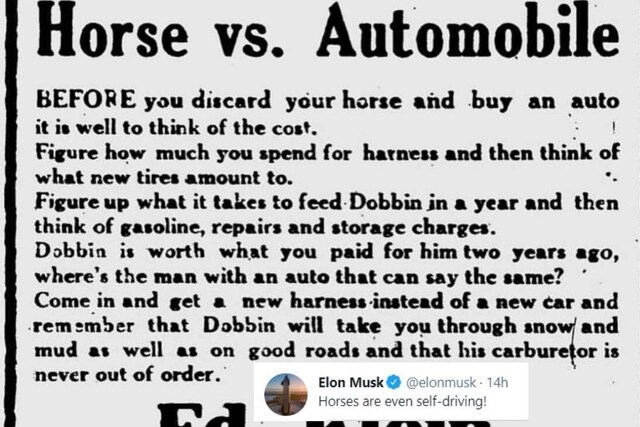 Not Just Teslas, Elon Musk Explains How Horses Too Are 'Self Driving ...