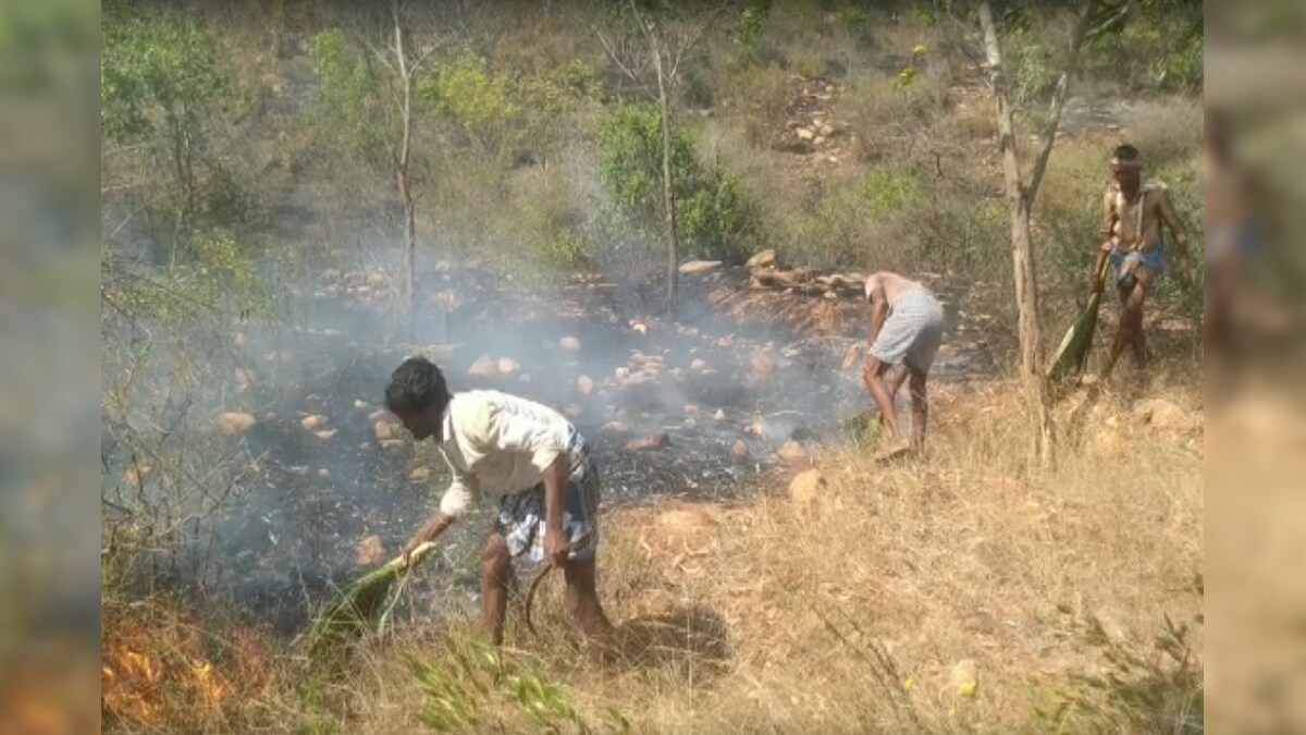 Huge Fire Breaks Out Near Nagarhole National Park And Tiger Reserve, 25 Acres of Forest Land ...