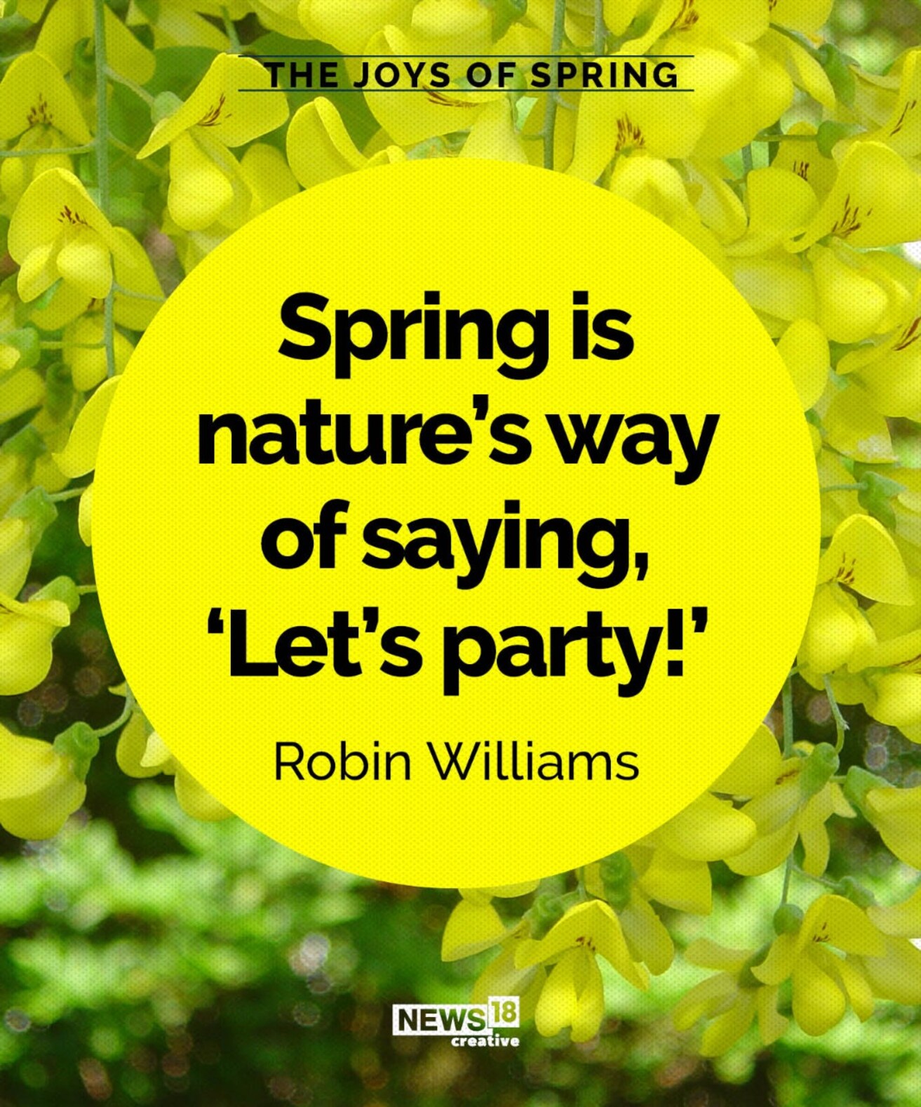 6 Reasons Why Spring Is The Best Time Of The Year, See Pics - News18