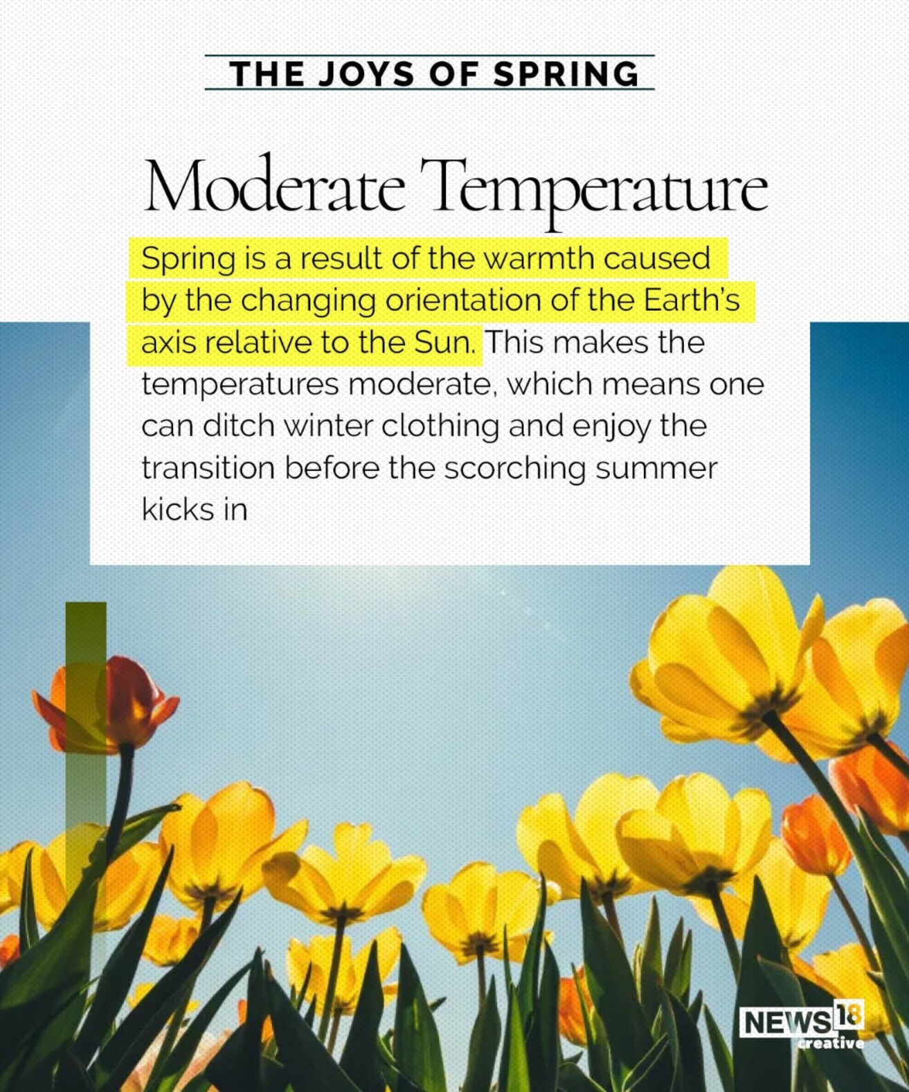 6 Reasons Why Spring Is The Best Time Of The Year, See Pics - News18