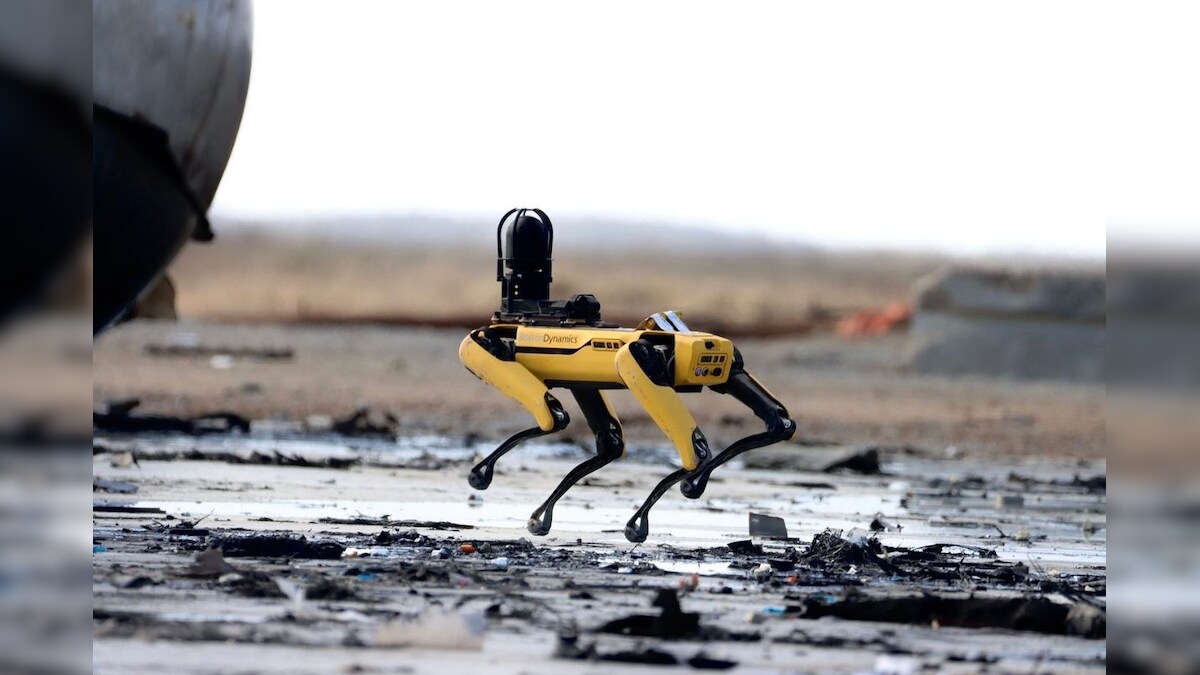 Robot Dog Inspects Wreckage Site After Elon Musk's SpaceX Rocket ...
