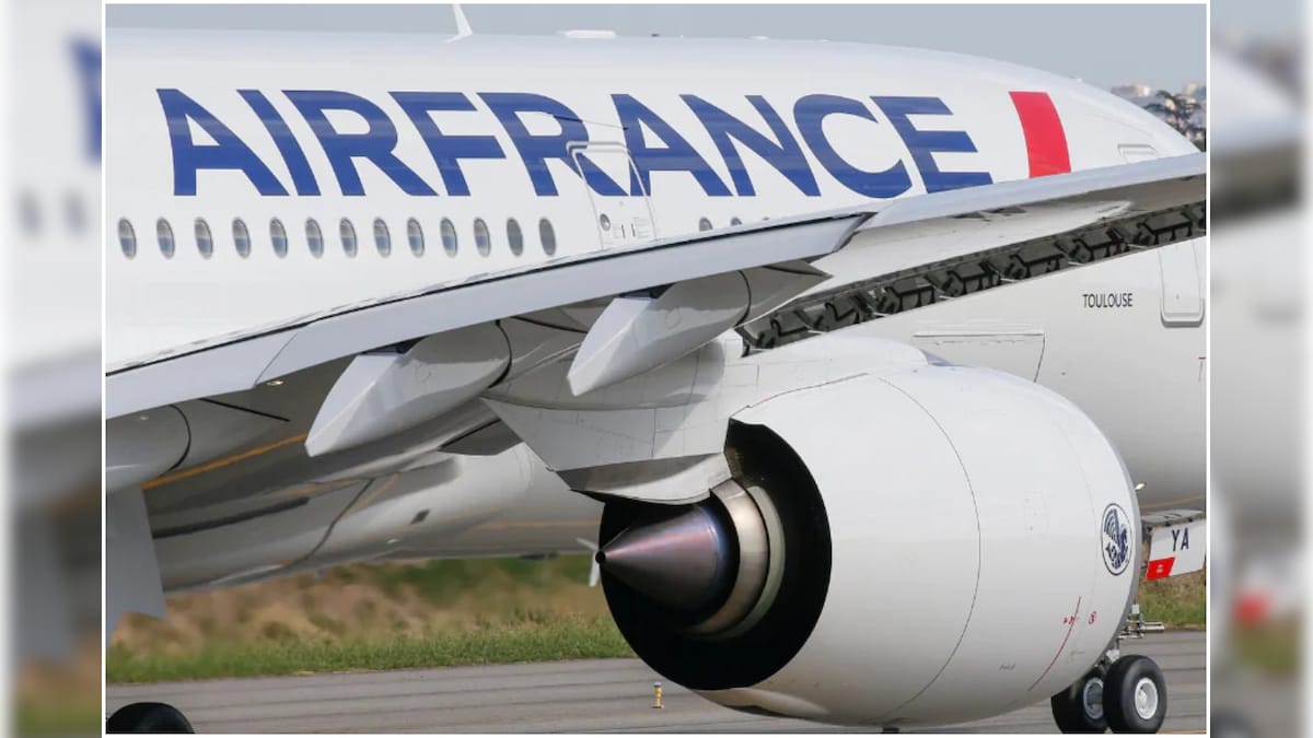 Indian Flier Thrown Out of French Flight for Attacking Crew: 5 Times ...
