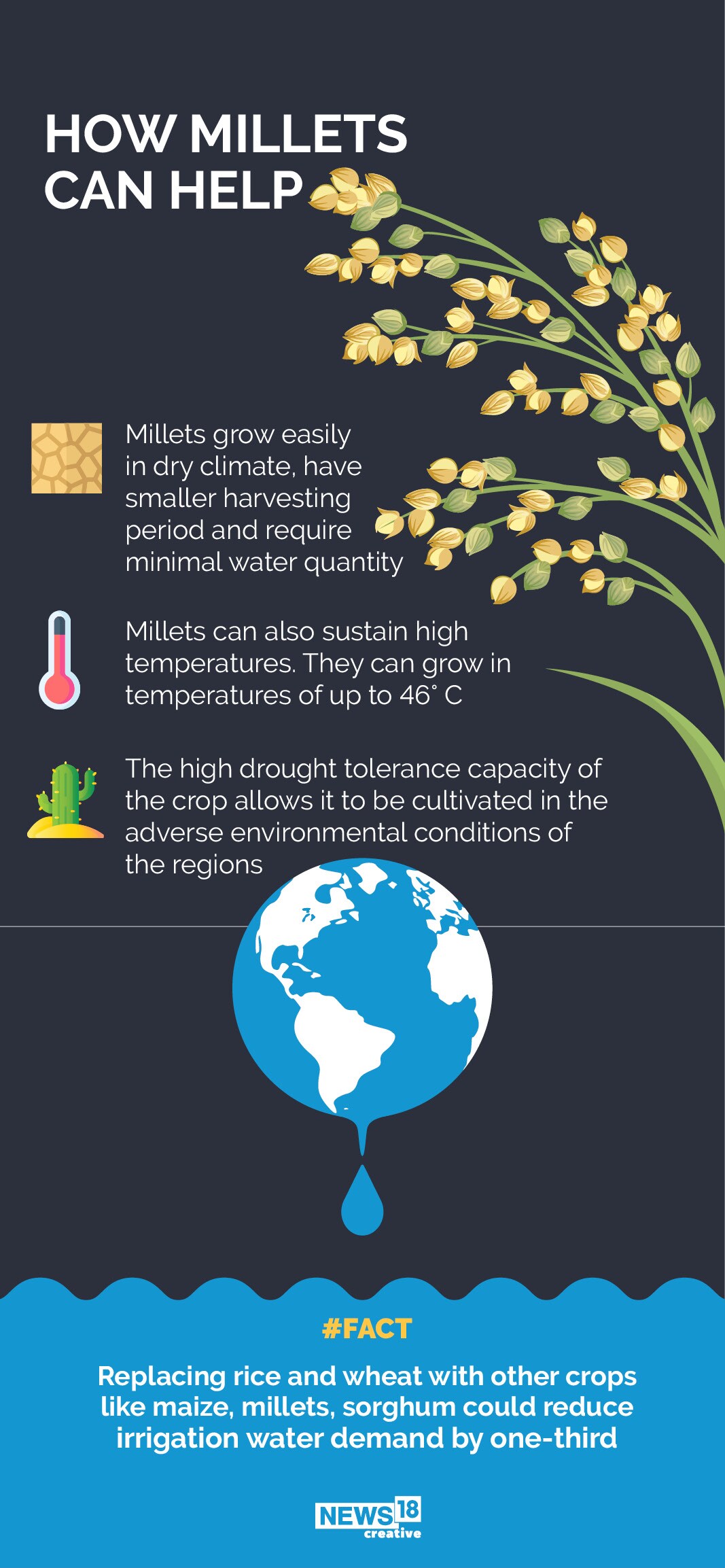 Water Scarcity, High Temperatures: Why Millets are Good for the ...
