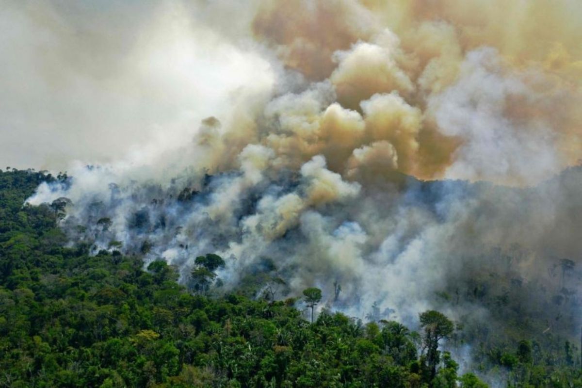 In Photos: Two-Thirds of the World's Tropical Rainforests Destroyed ...