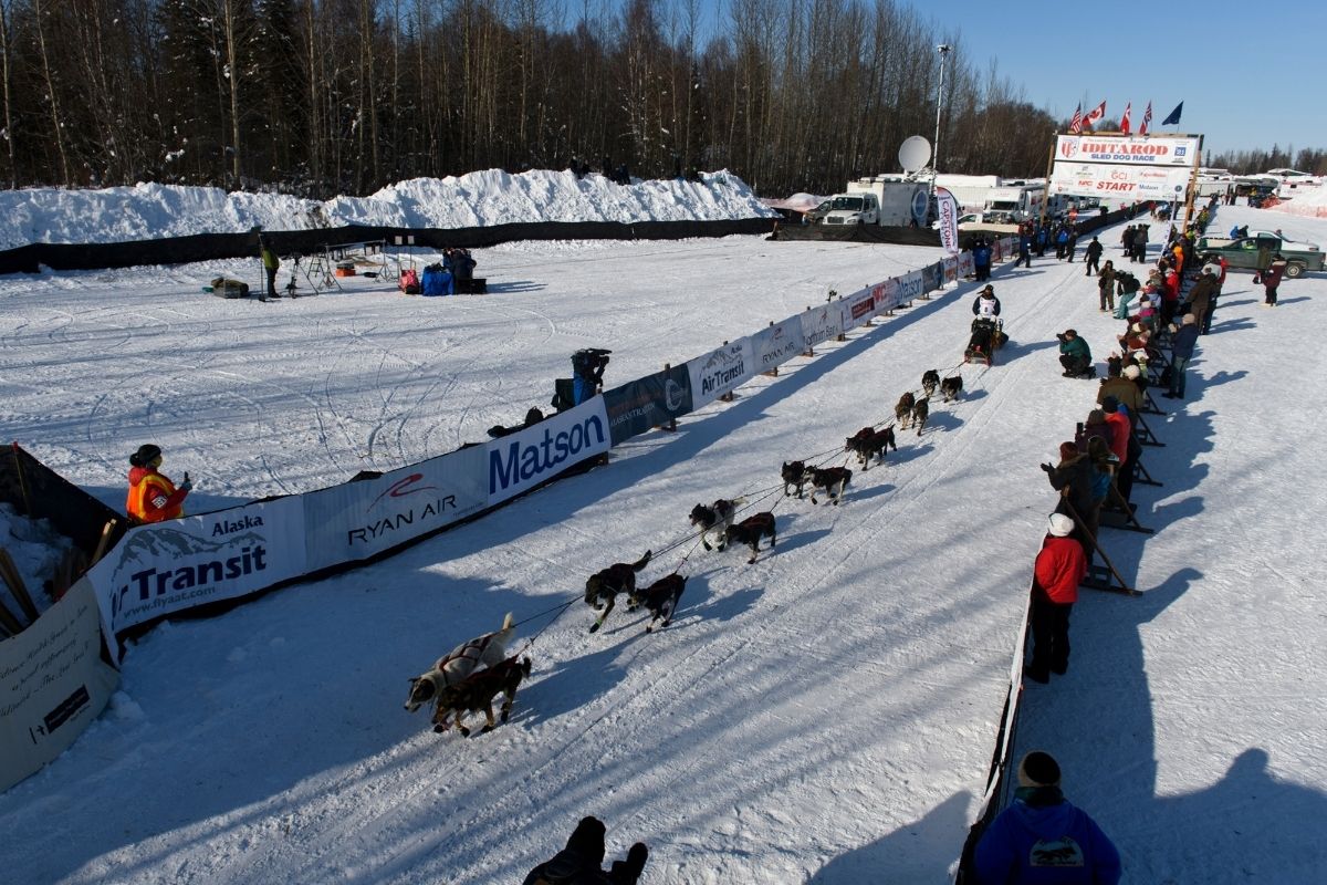 In Photos: Iconic Alaskan Sled Dog Race Kicks Off With Masks and Covid ...