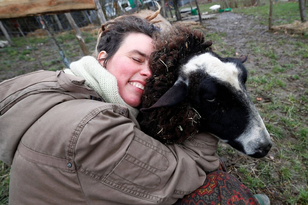 Alone During Pandemic? This German Farm Offers Free Cuddling Sessions ...