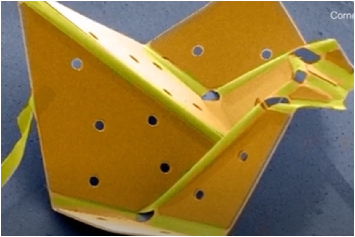 World’s Smallest Robotic Origami Bird is 20 Times Smaller Than a Grain ...