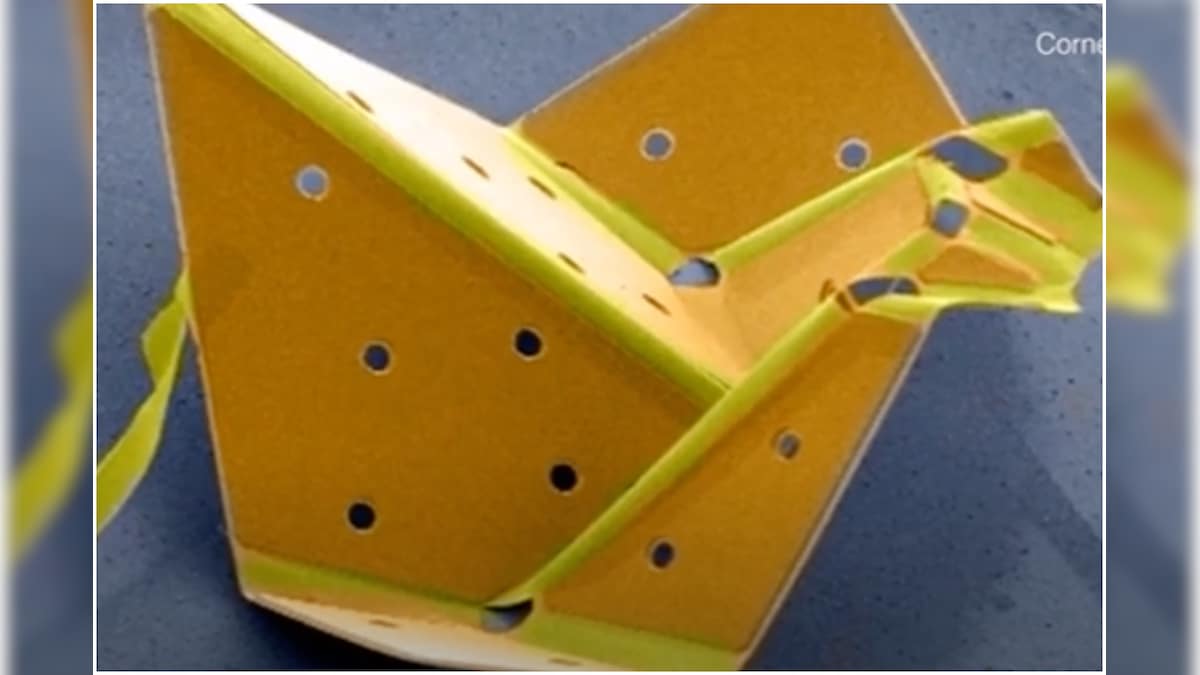 World’s Smallest Robotic Origami Bird is 20 Times Smaller Than a Grain ...