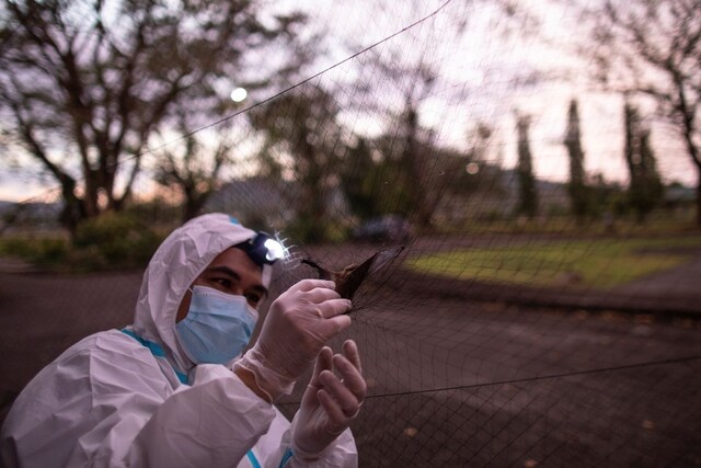 Vietnam Discovers New Virus Variant, Hybrid of Indian & British Strains ...