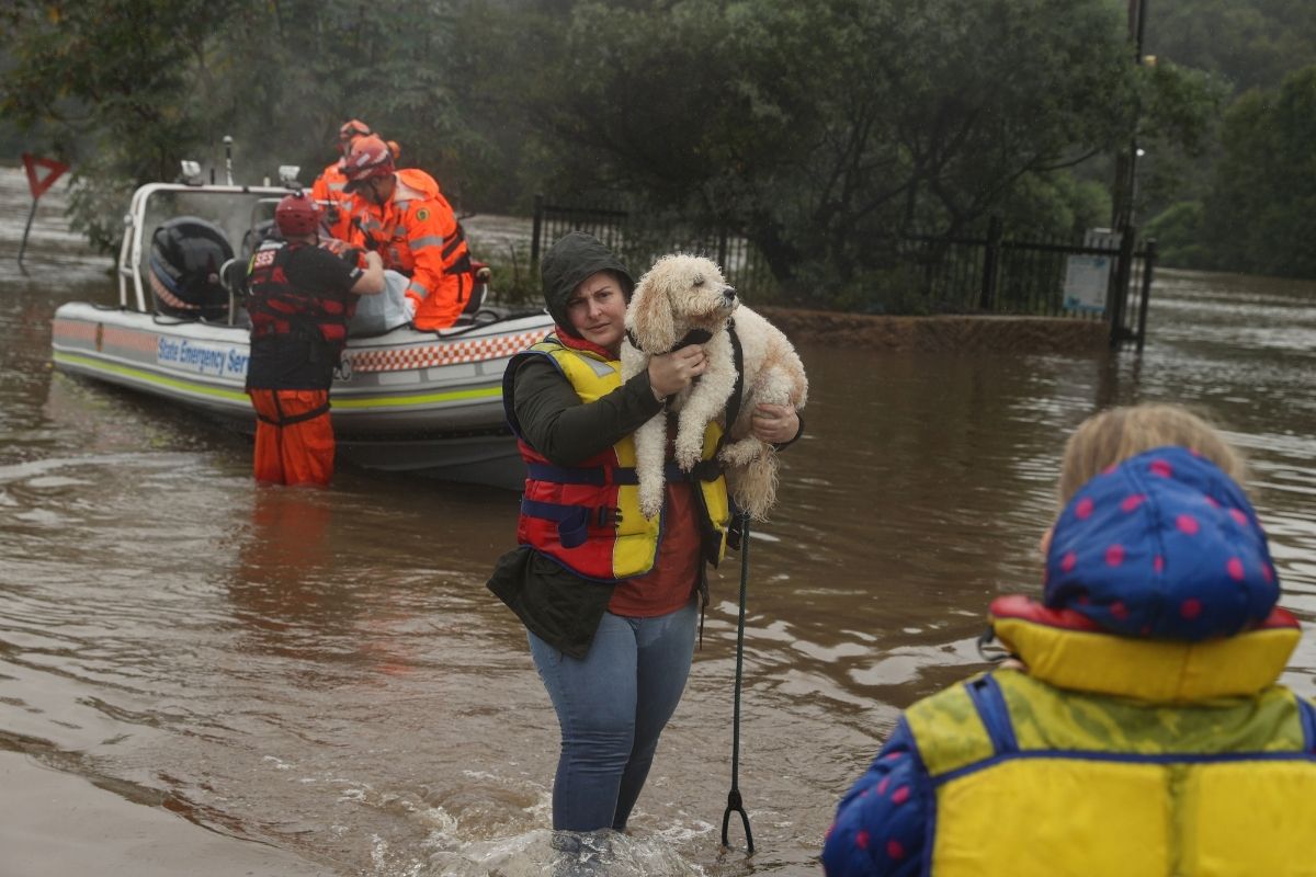 Rescued Dogs and Emus to Dead Fish: How the Australian Floods Have ...