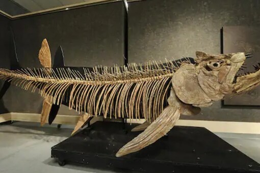 First Bones With Living Cells Evolved to Act Like Batteries, 400 ...