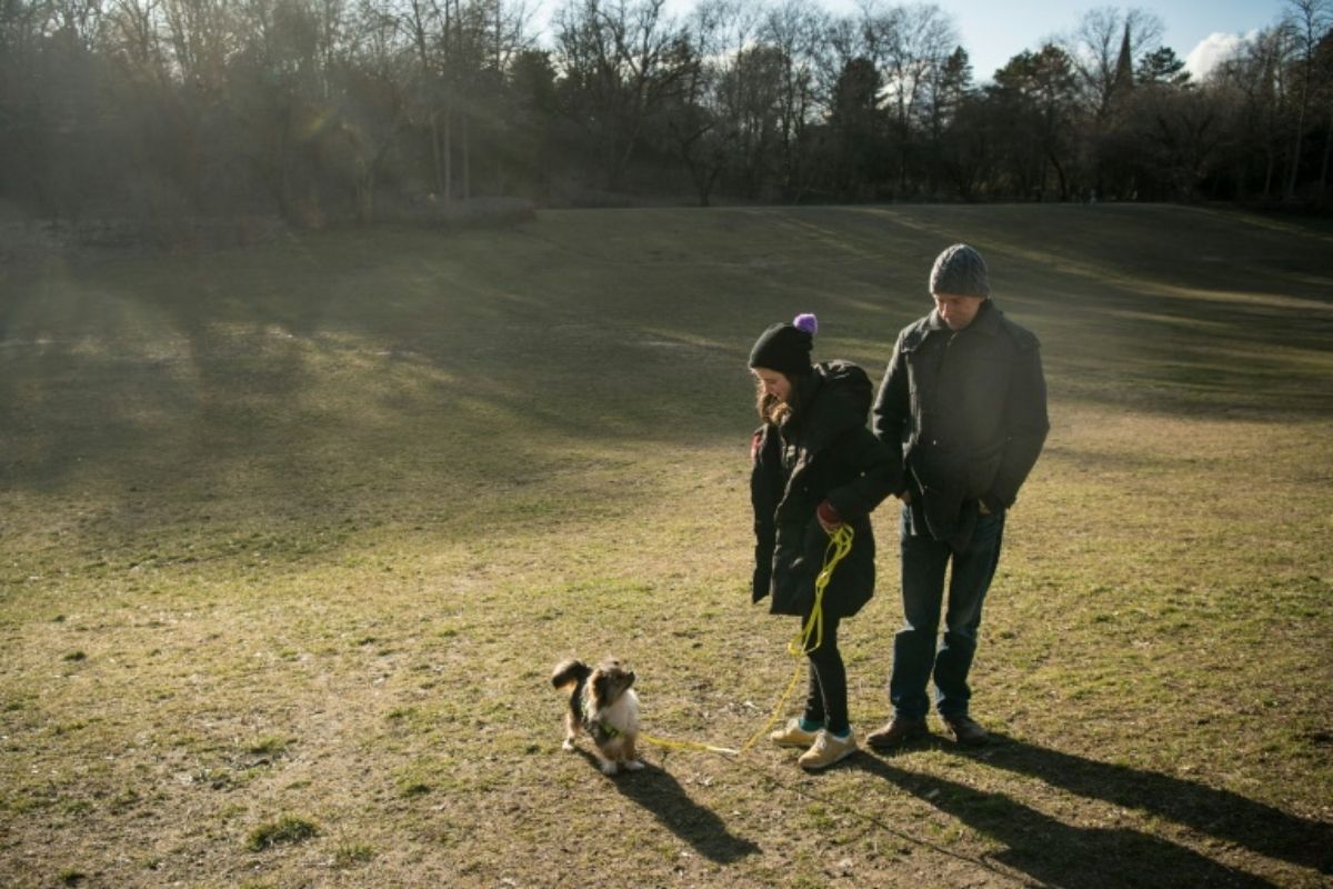 Germany Sees Huge Surge in Pet Adoption During Pandemic as People Try ...