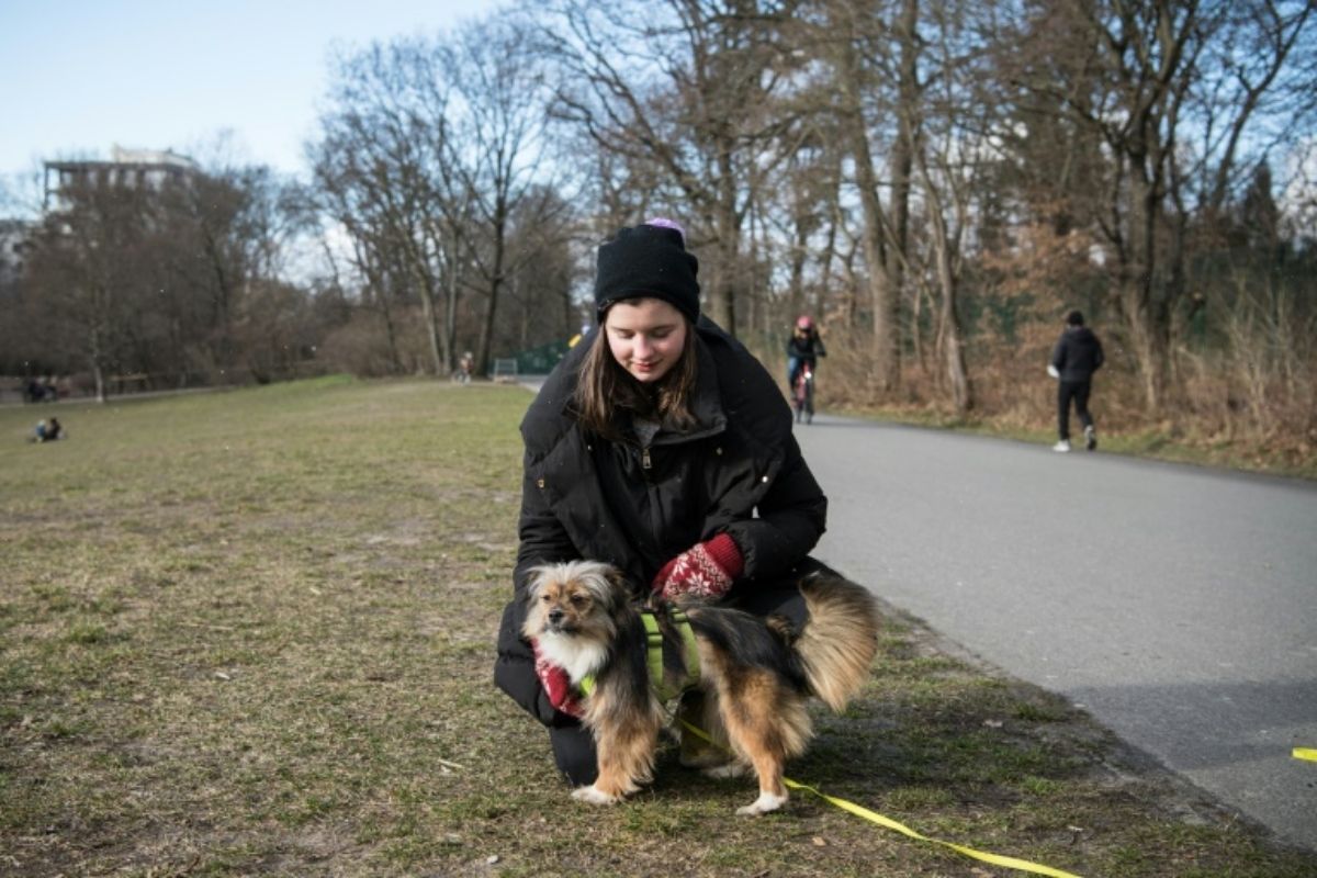 Germany Sees Huge Surge in Pet Adoption During Pandemic as People Try ...