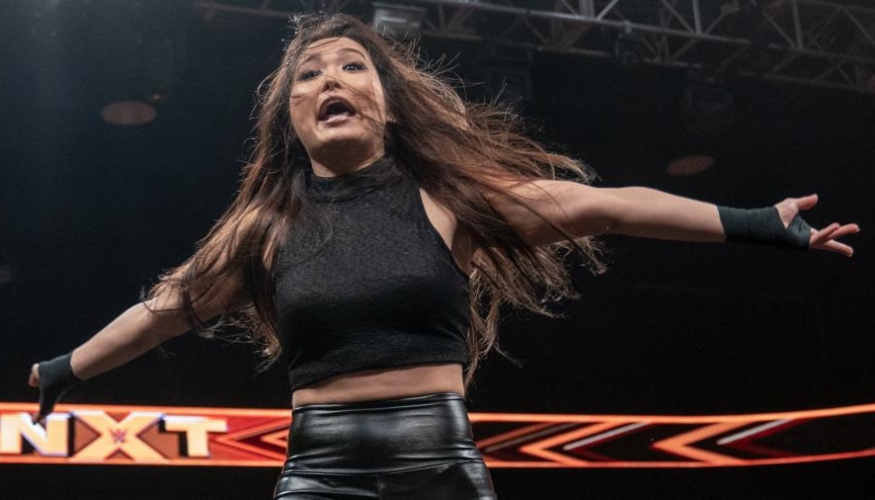IN PICS | Meet the Current NXT Women's Champion Io Shirai - News18