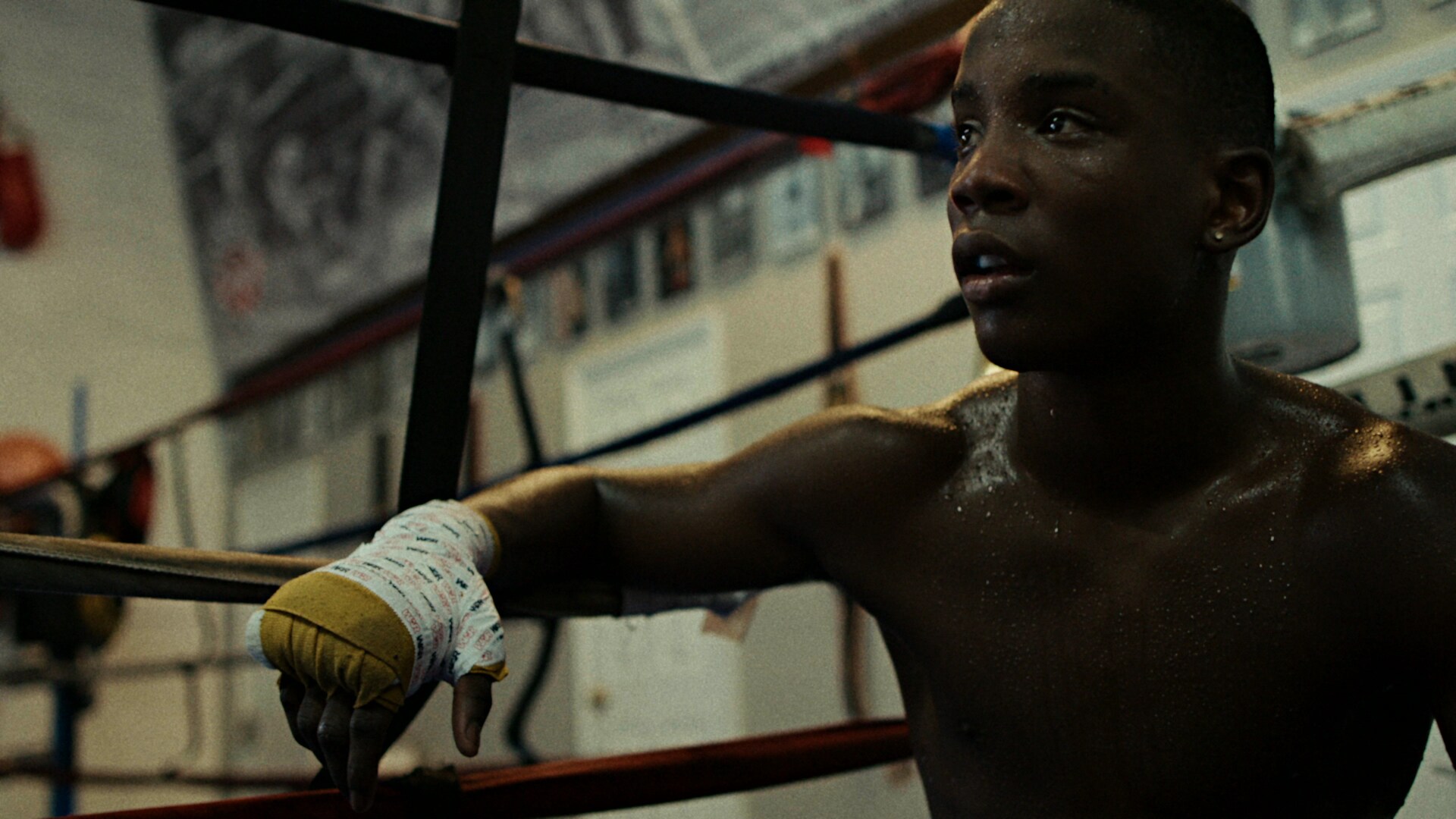 World Sports Day: Uplift Your Sporting Spirit With Best Sports Titles ...