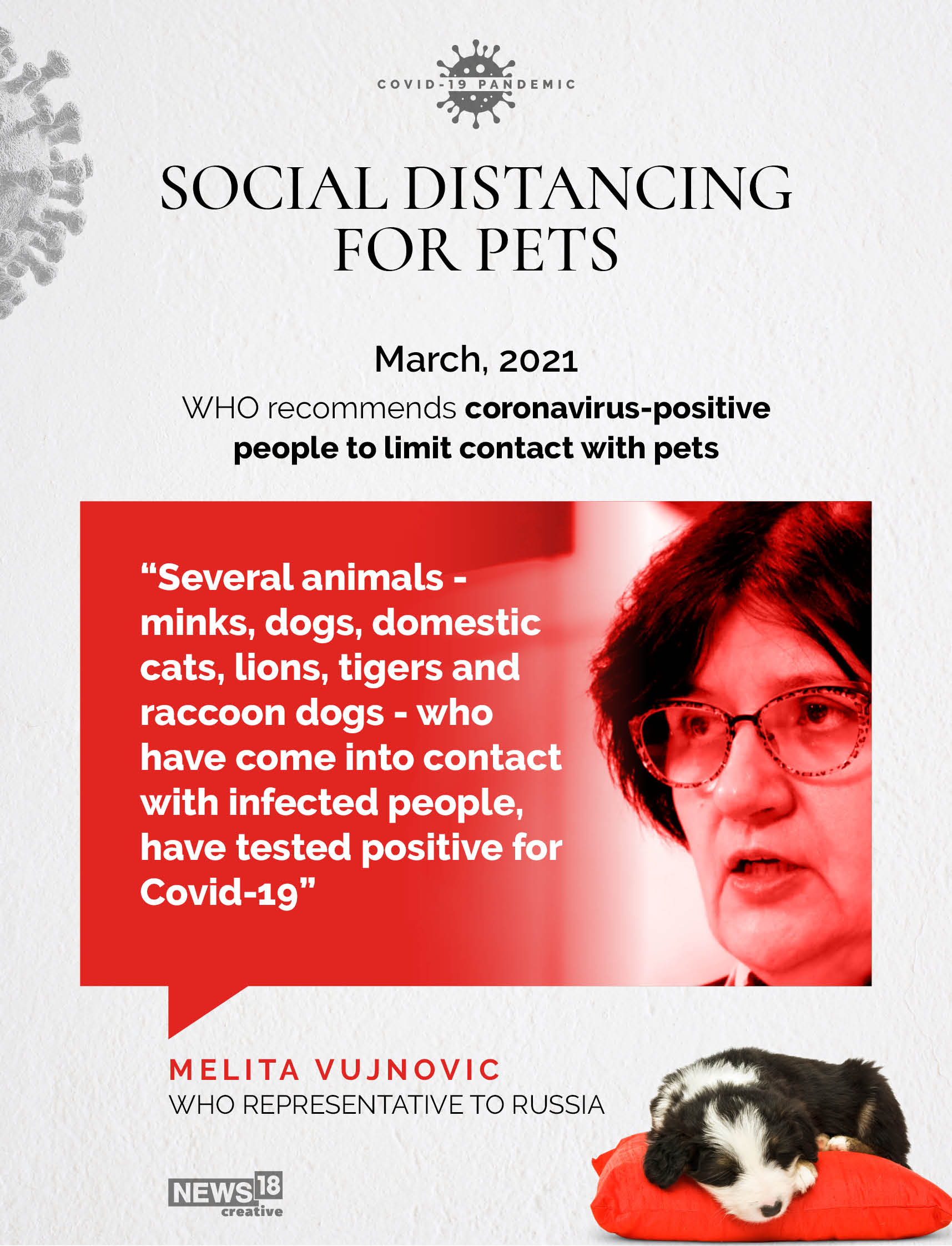 The Coronavirus Risk for Animals: Infection Threat, Social Distancing ...