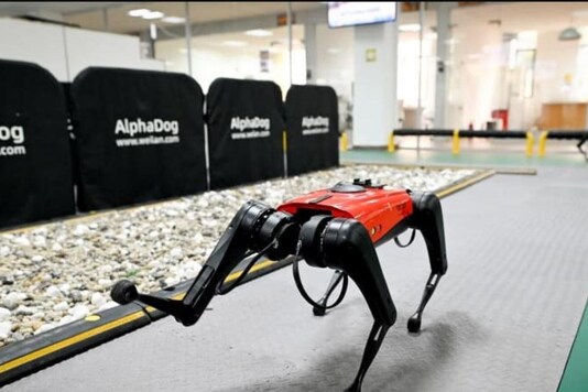 Remember the Viral Robo Dog? China is Now Producing Them to Keep as Pets