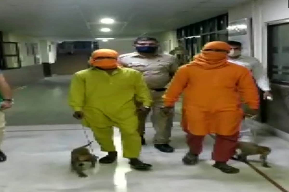 Two Youths Held in South Delhi Locality for Robbing People Using Monkeys