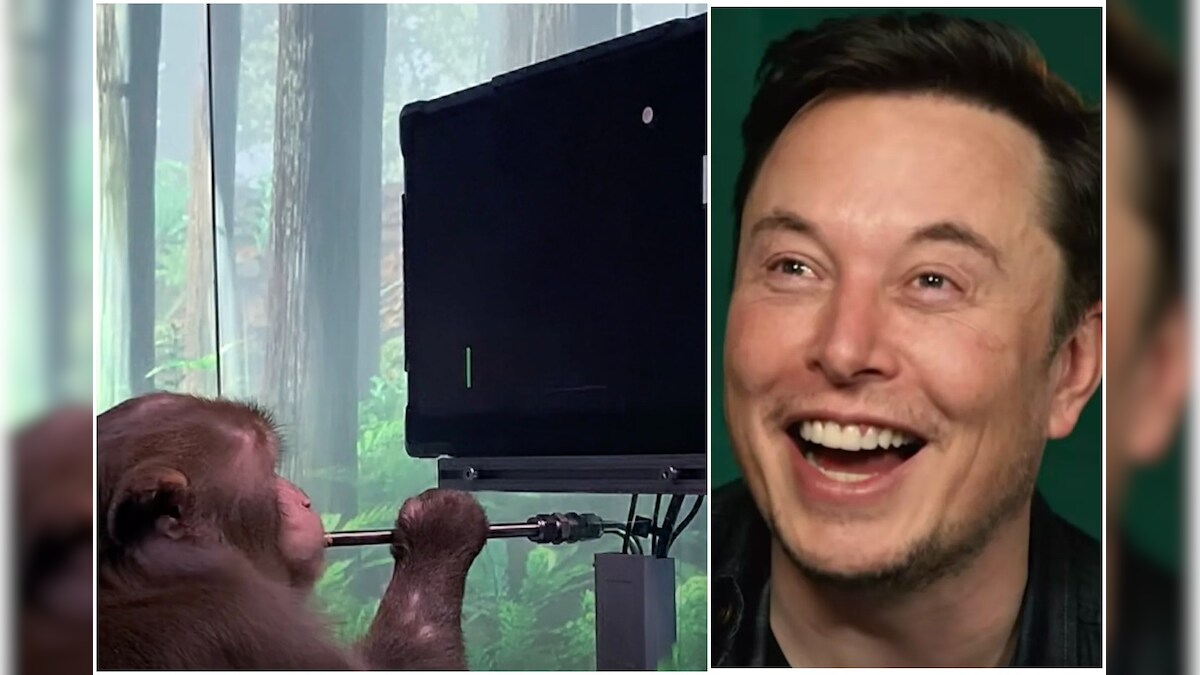 Elon Musk's Wired Monkey is Playing Video Games in Viral Video, Twitter ...