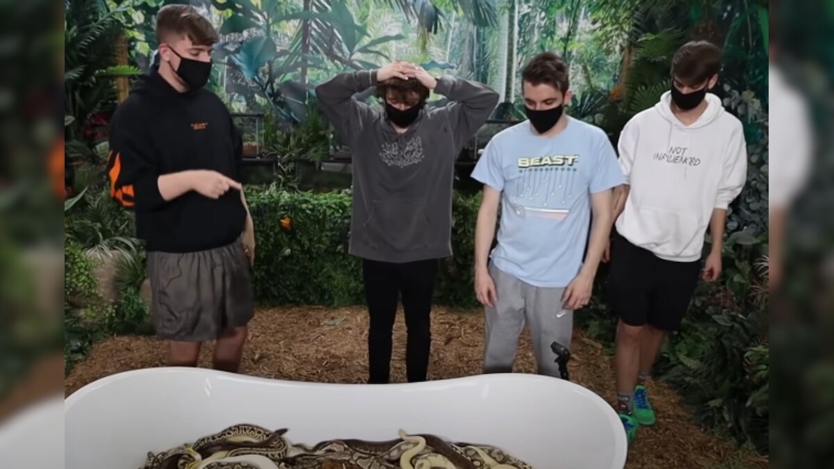 YouTuber MrBeast Just Gave Away Rs 7.5 Lakh in 'Bathing' With Snakes ...