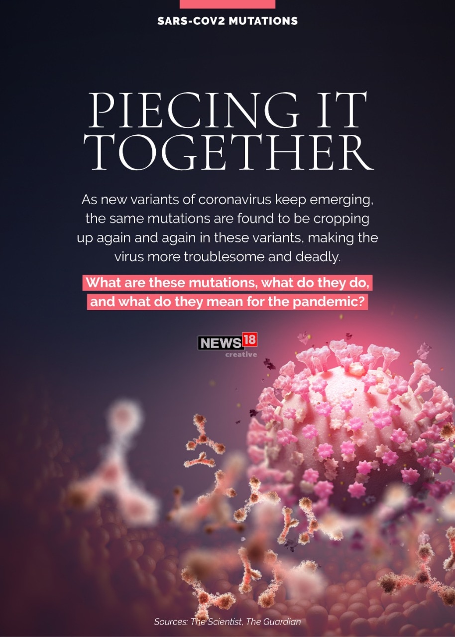 In Pics: New Mutations of Covid Variants Spell Danger; Know All About ...